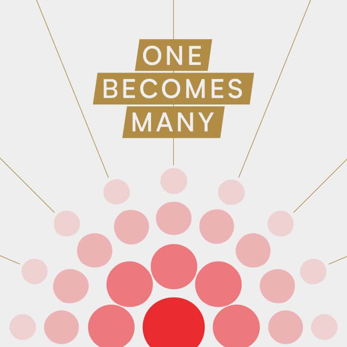 Transform Iran Bringing The Love And Power Of Christ To Iran And Beyond